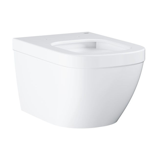 Wall Hung Rimless Toilet with Soft Close Seat - Grohe Euro - Better ...