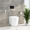 Black Glass Dual Sensor Flush Plate with Wall Hung Toilet Frame ...