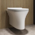 Back to Wall Rimless Toilet with Soft Close Seat - Indiana - Better ...