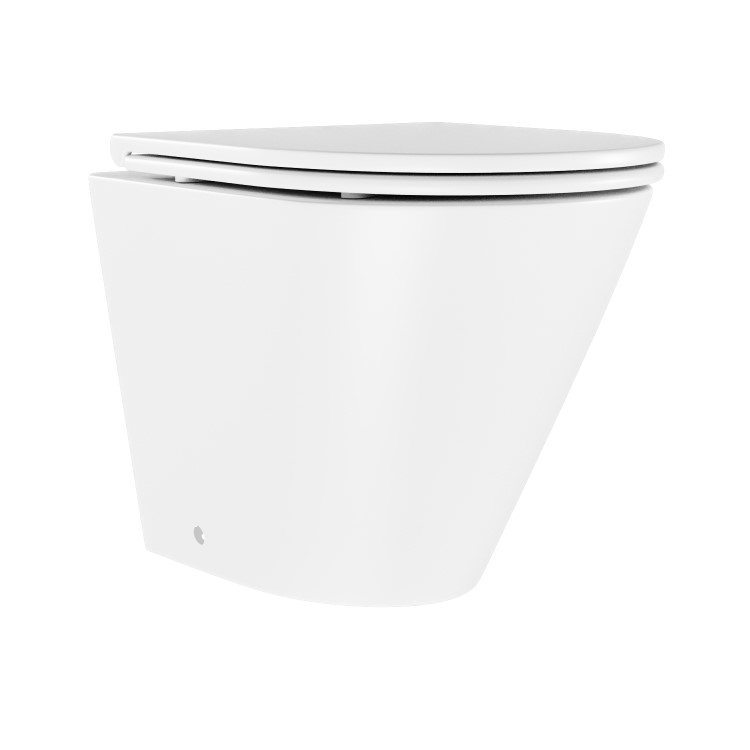 Matt White Back to Wall Rimless Toilet with Soft Close Seat - Newport ...