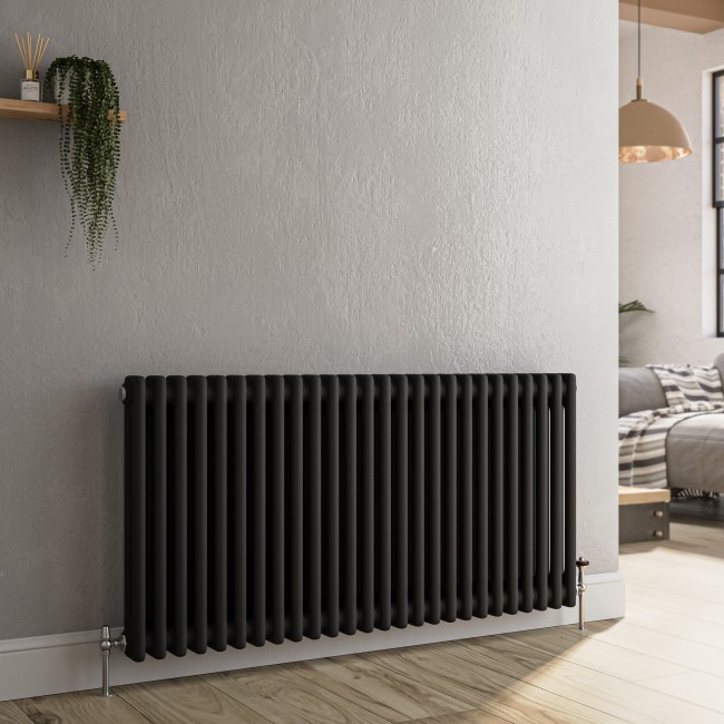 Reggio Midnight Black Horizontal Double Column Traditional Radiator ...